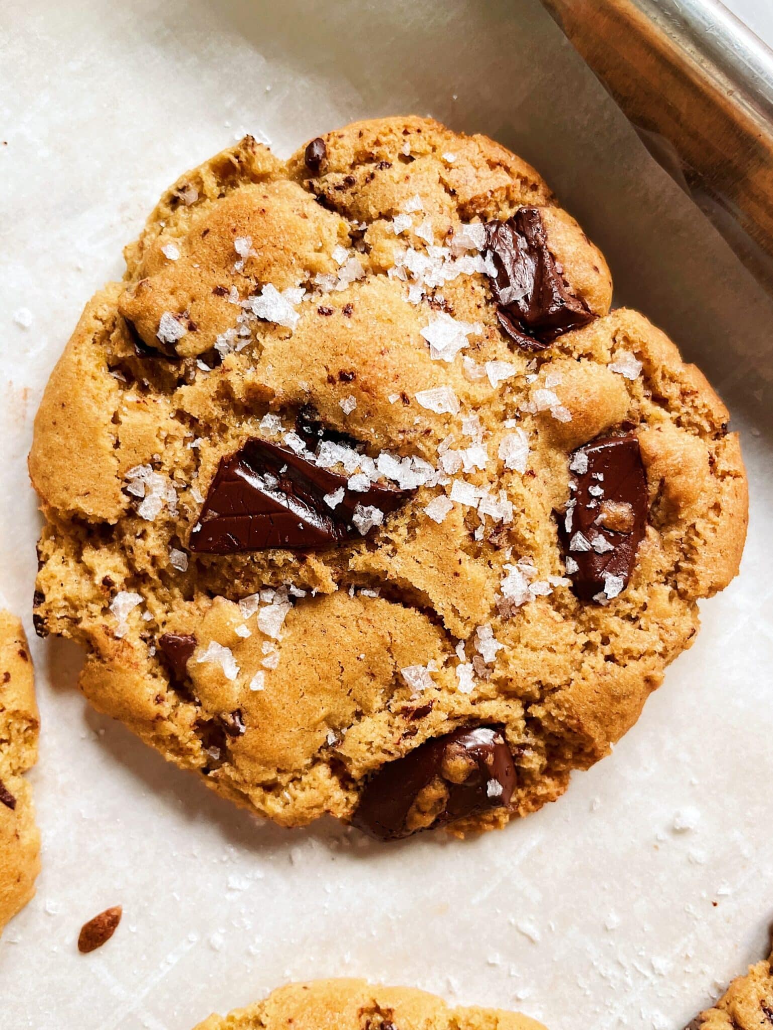 Olive Oil Chocolate Chip Cookies - Carolina Gelen