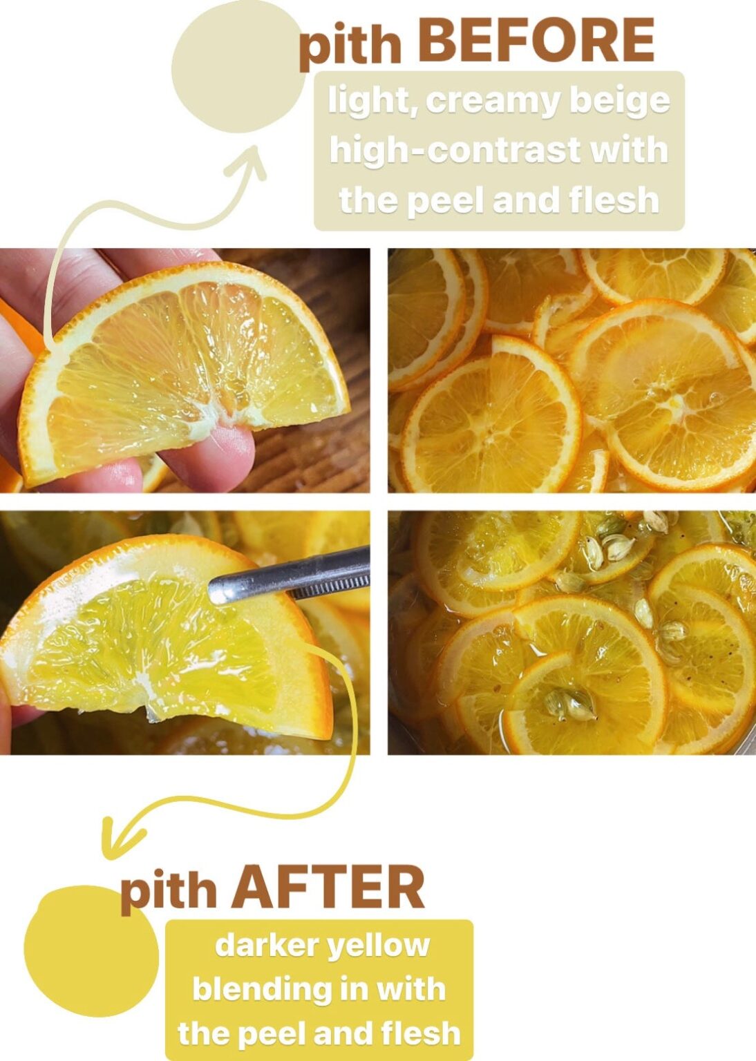 Orange-Cardamom Olive Oil Cake - Carolina Gelen