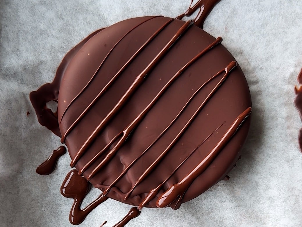 2-Ingredient Cranberry Chocolate Bites - Carolina Gelen