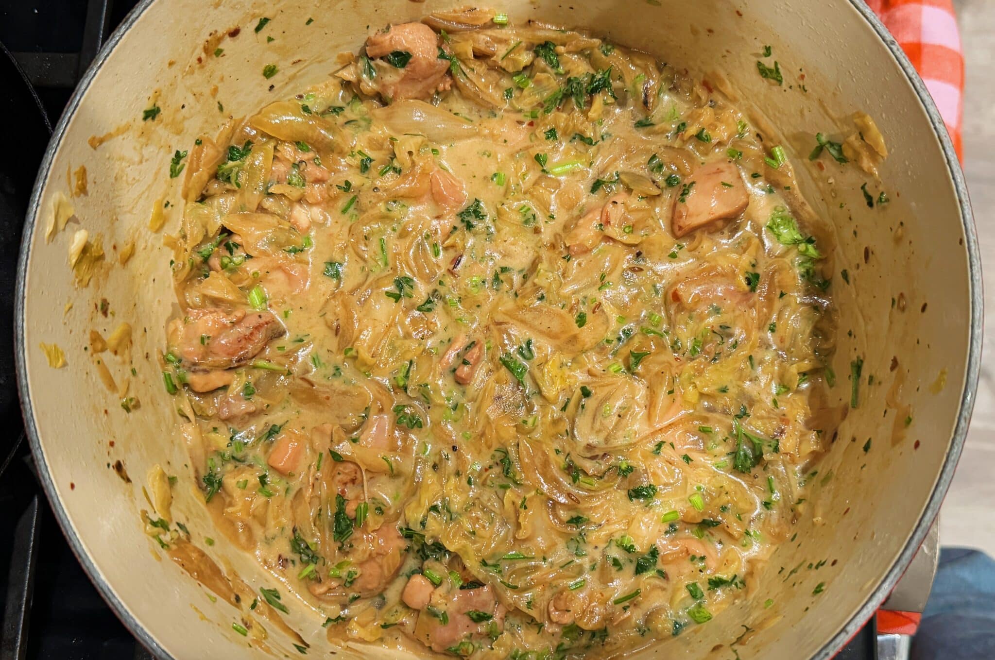 Chicken Stew with Onions and Cabbage - Carolina Gelen